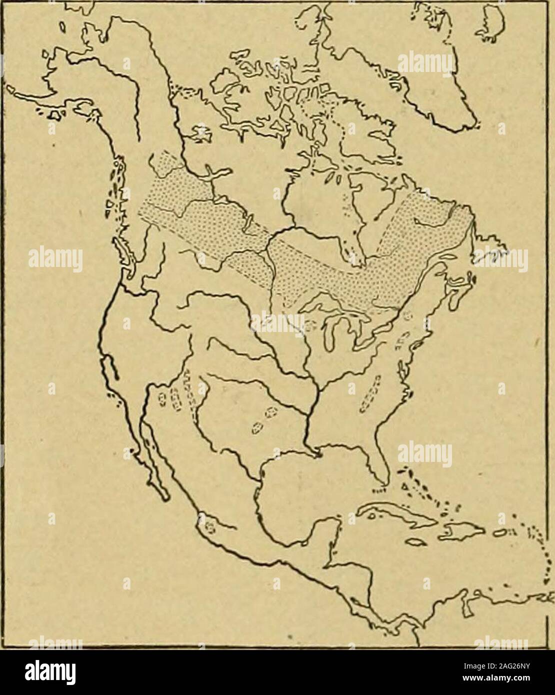 Animals with backbones hi-res stock photography and images - Alamy