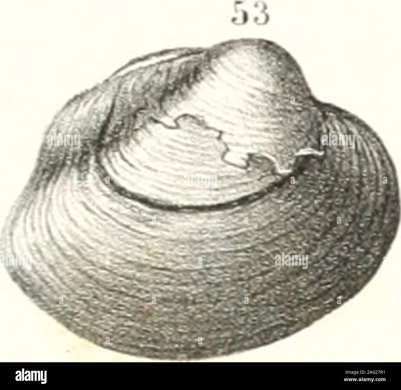 The eolus hi-res stock photography and images - Alamy