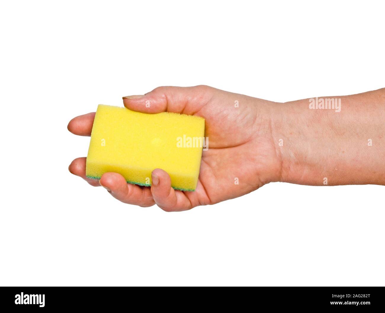 Hand with sponge isolated on white background Stock Photo - Alamy
