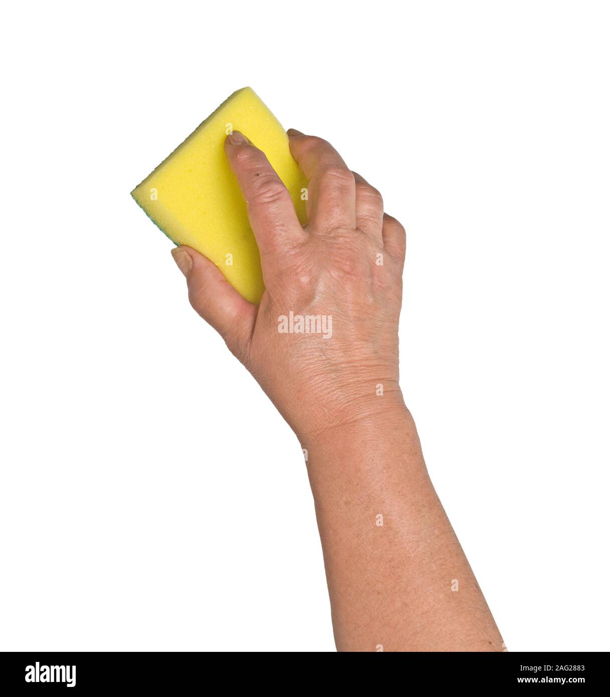 Hand with sponge isolated on white background Stock Photo - Alamy