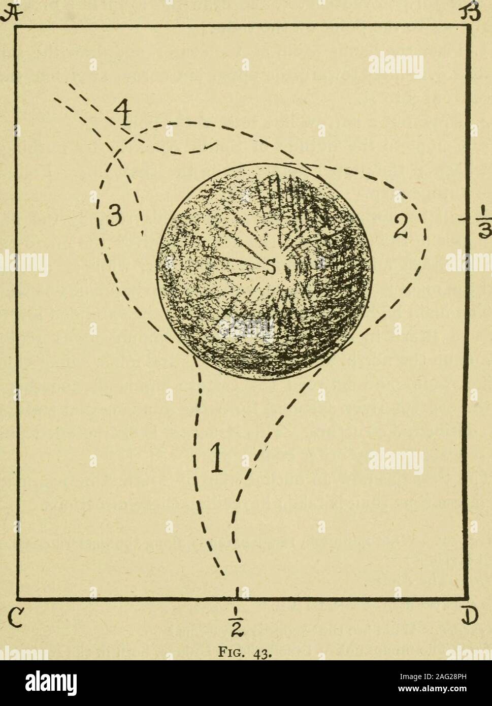 Inclined strips hi-res stock photography and images - Alamy