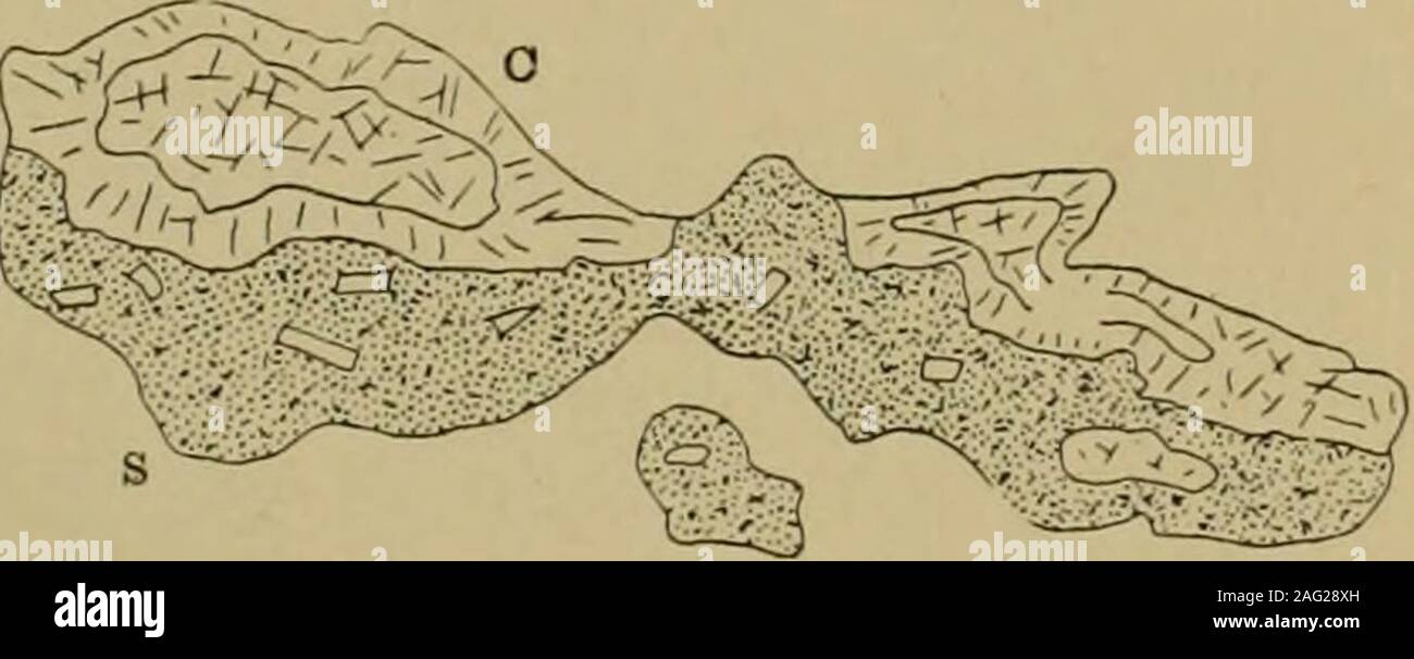 Leucoxene hi-res stock photography and images - Alamy