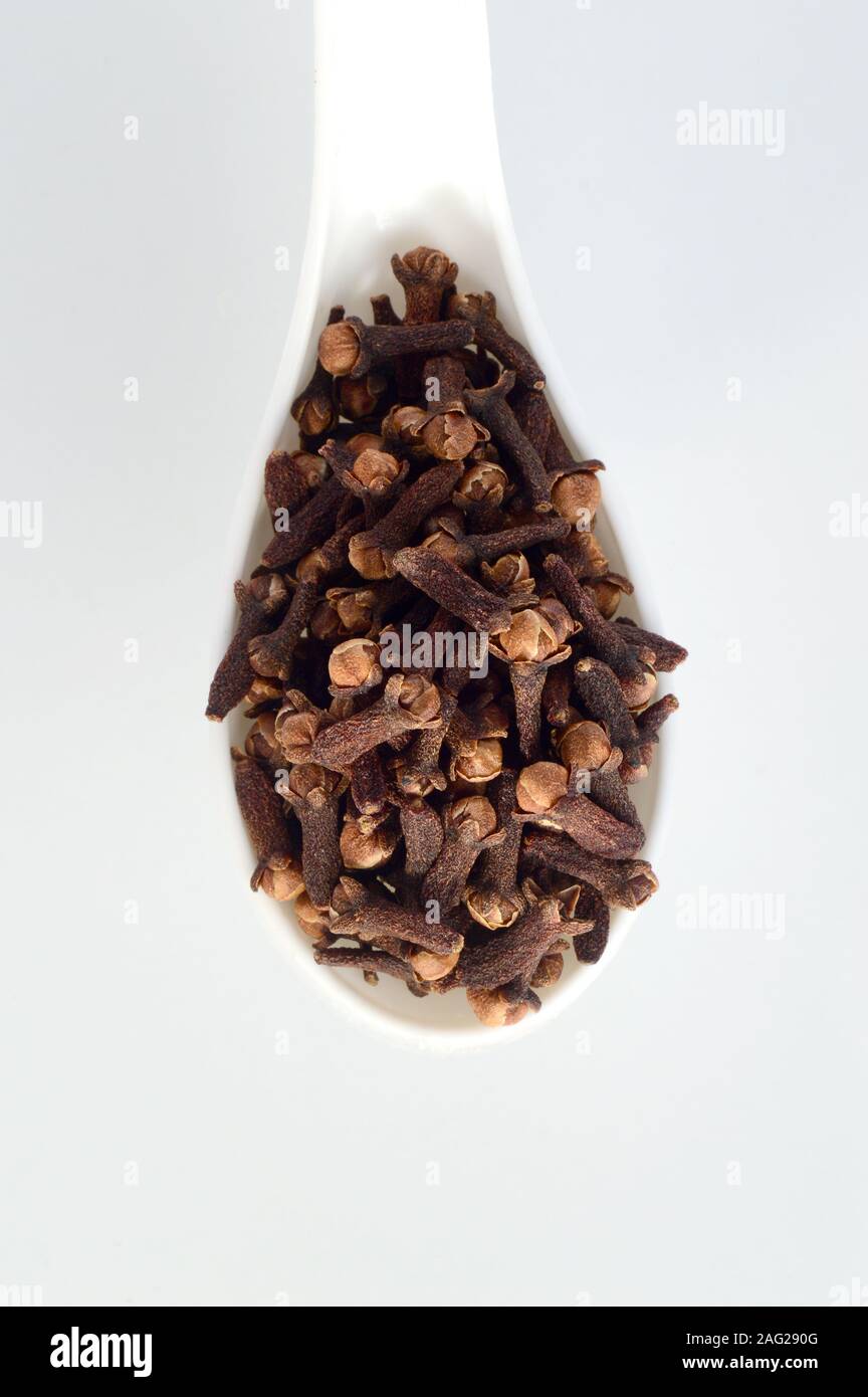 clove in spoon isolated on a white background Stock Photo - Alamy