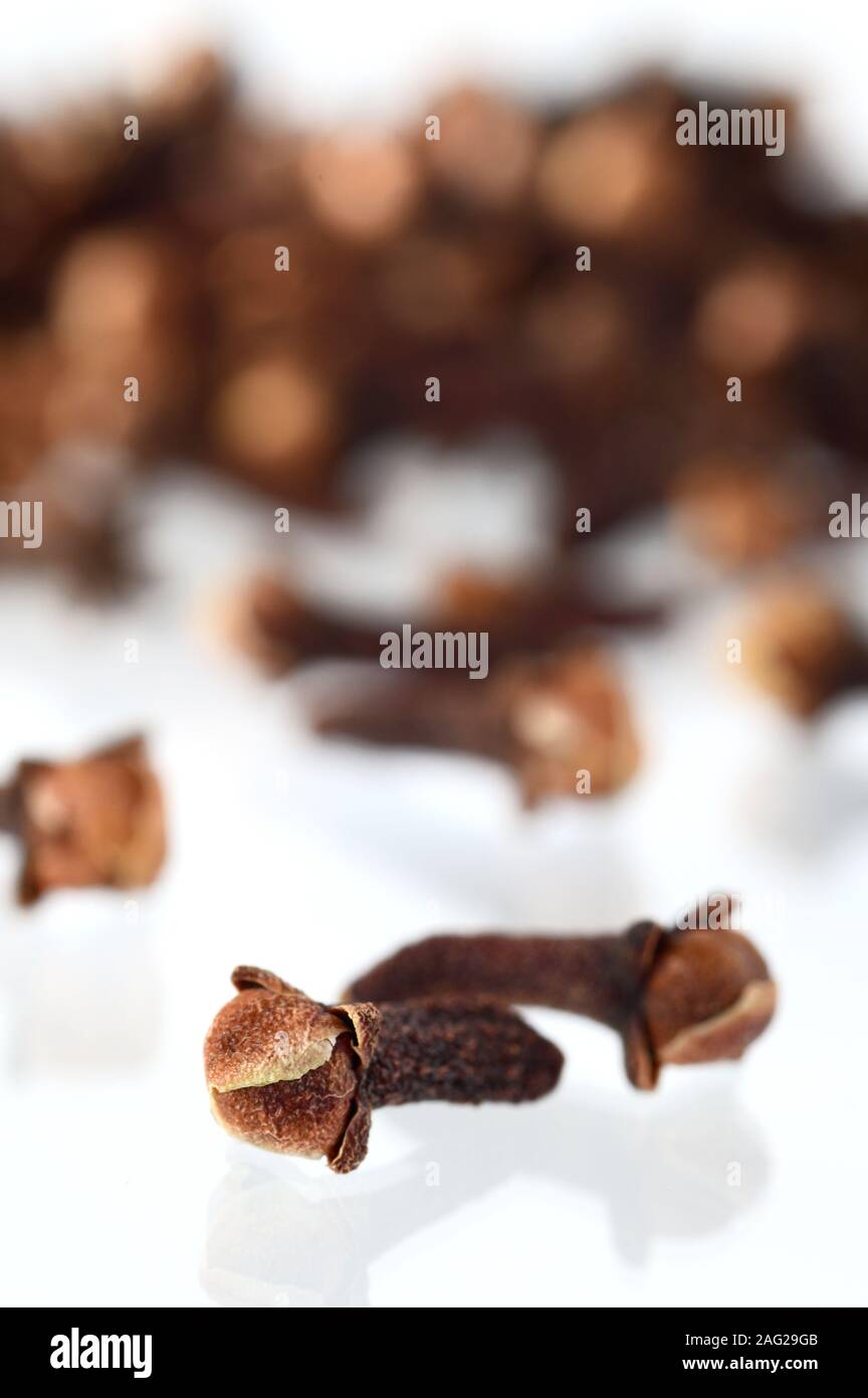 Cloves isolated on white background Stock Photo - Alamy
