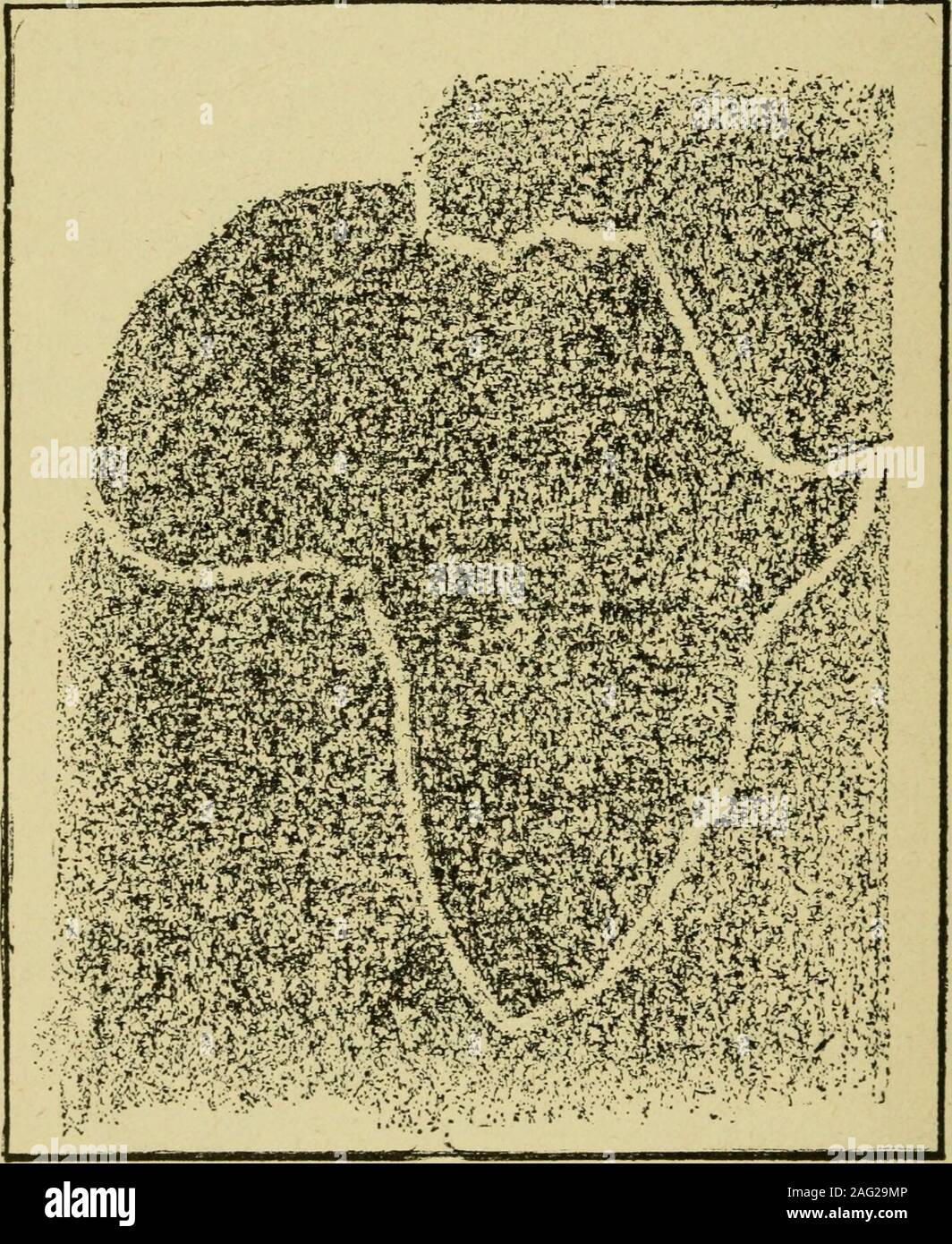 . Map modeling in geography : including the use of sand, clay putty ...