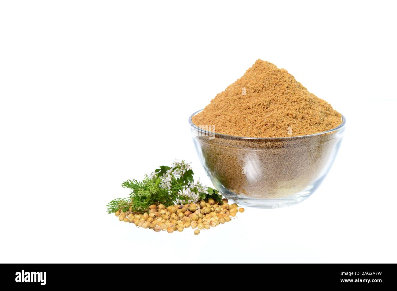 Coriander seeds, Fresh Coriander and Powdered coriander isolated on ...