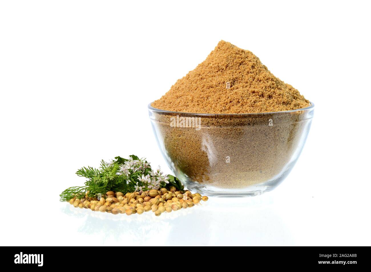 Coriander seeds, Fresh Coriander and Powdered coriander isolated on ...