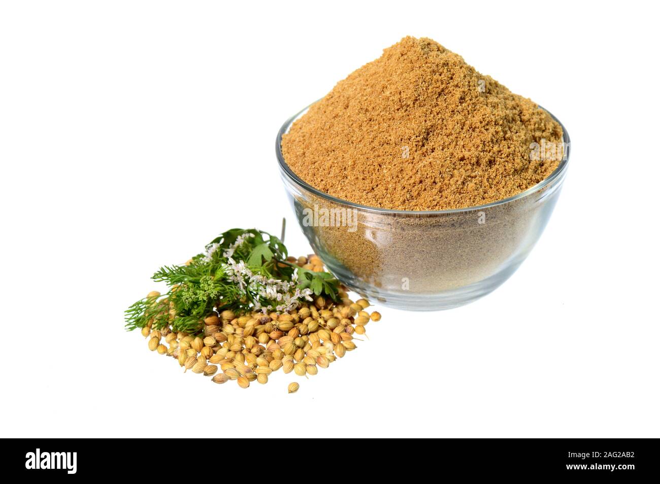 Coriander seeds, Fresh Coriander and Powdered coriander isolated on ...