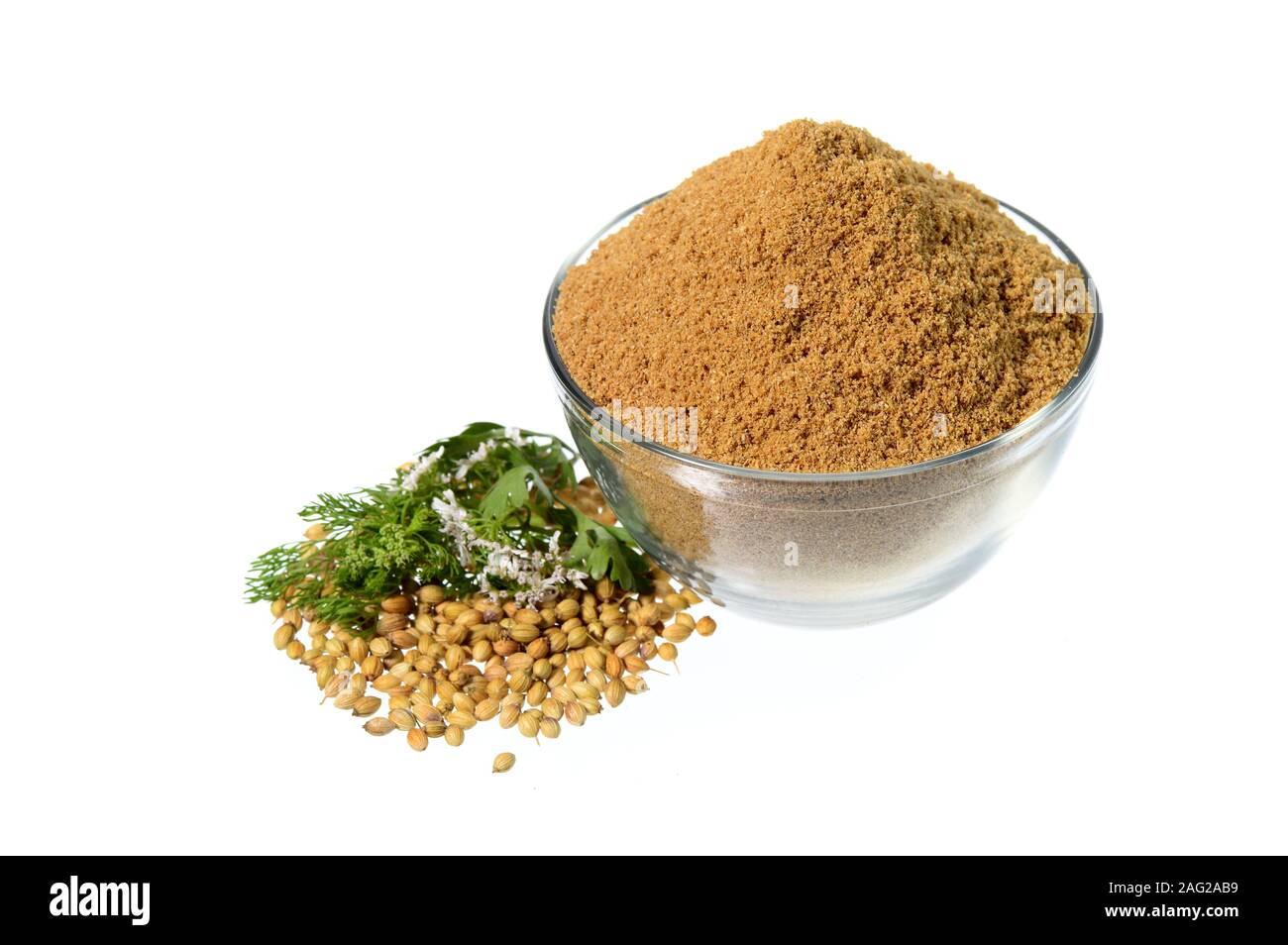 Coriander seeds, Fresh Coriander and Powdered coriander isolated on ...