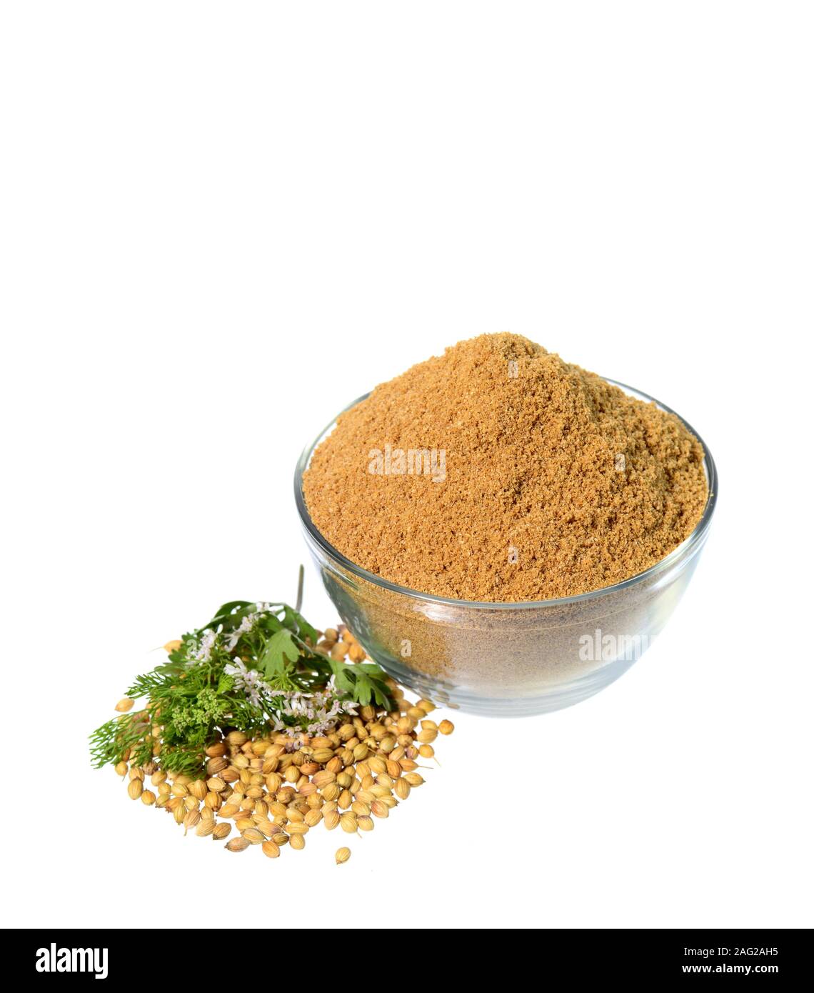 Coriander seeds, Fresh Coriander and Powdered coriander isolated on ...
