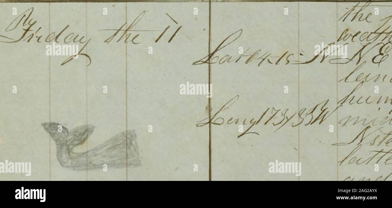 . [Logbook of the William Hamilton (Ship) of New Bedford, mastered by ...