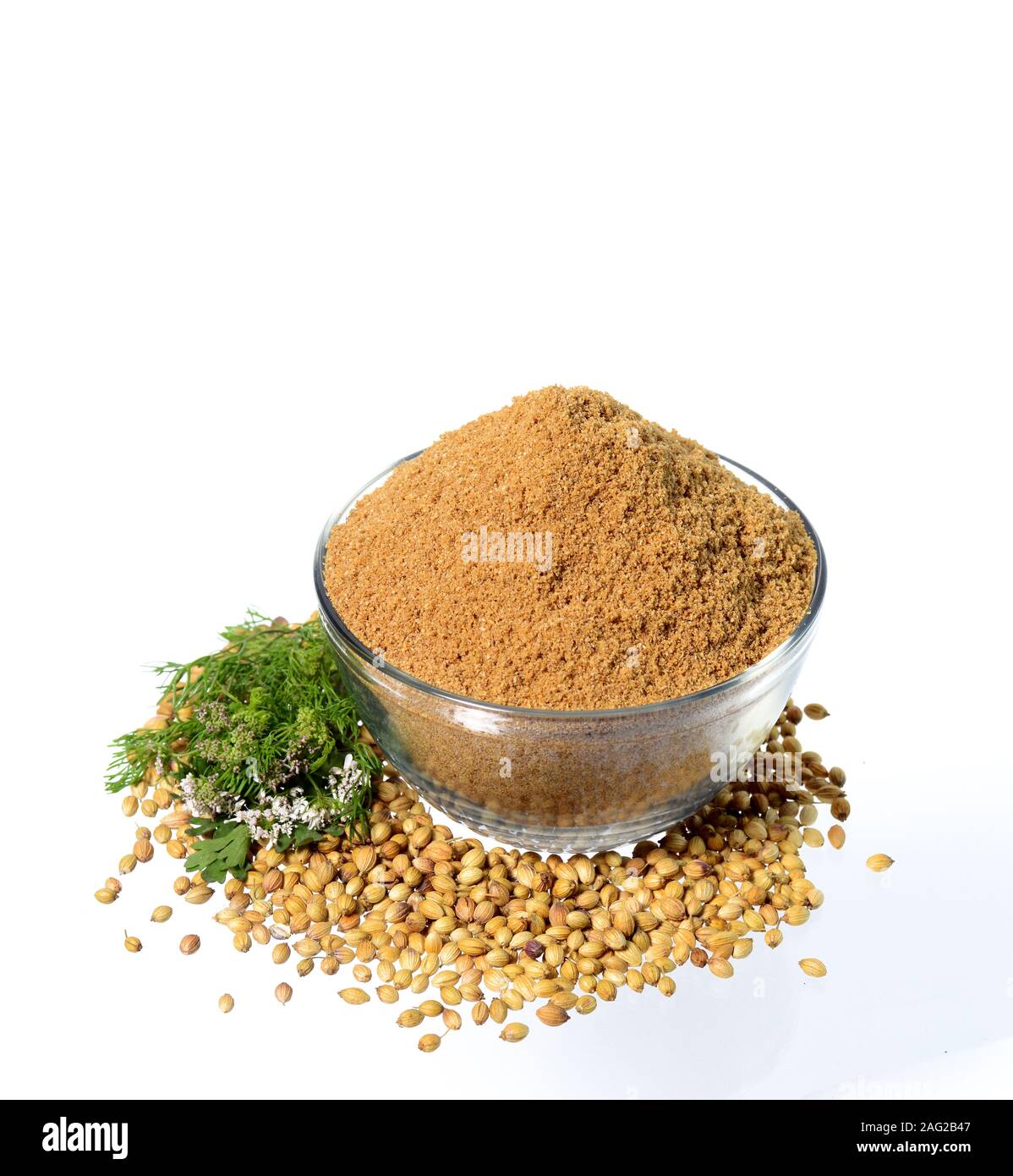 Coriander seeds, Fresh Coriander and Powdered coriander isolated on ...