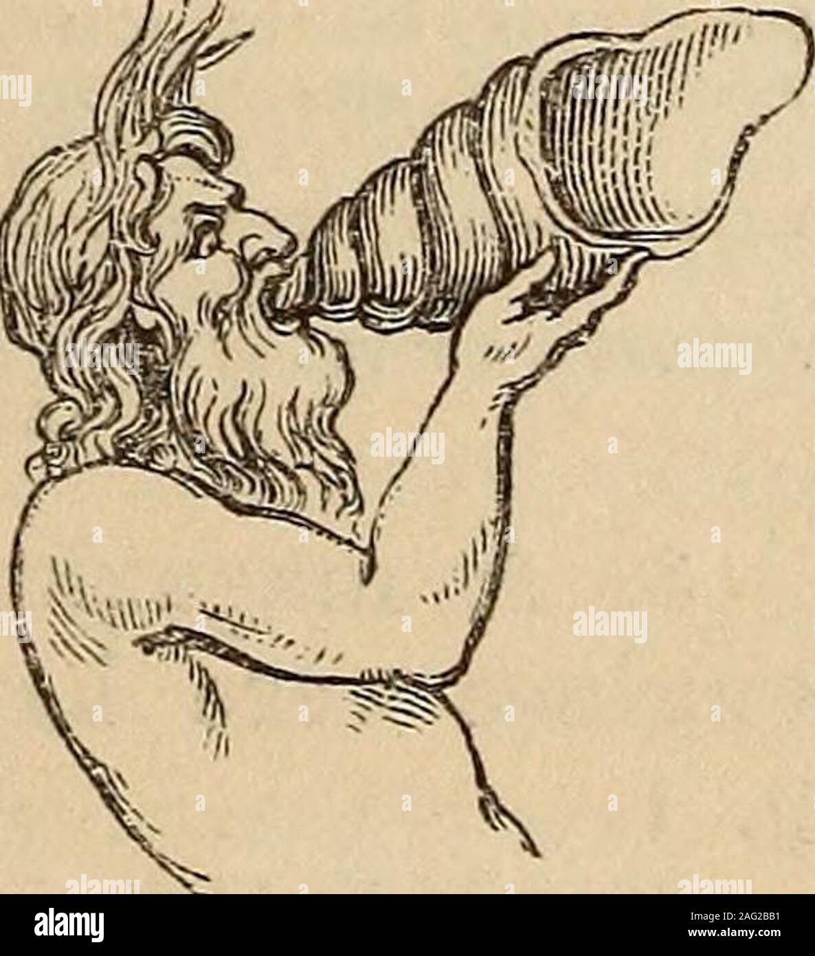 Ashell hi-res stock photography and images - Alamy