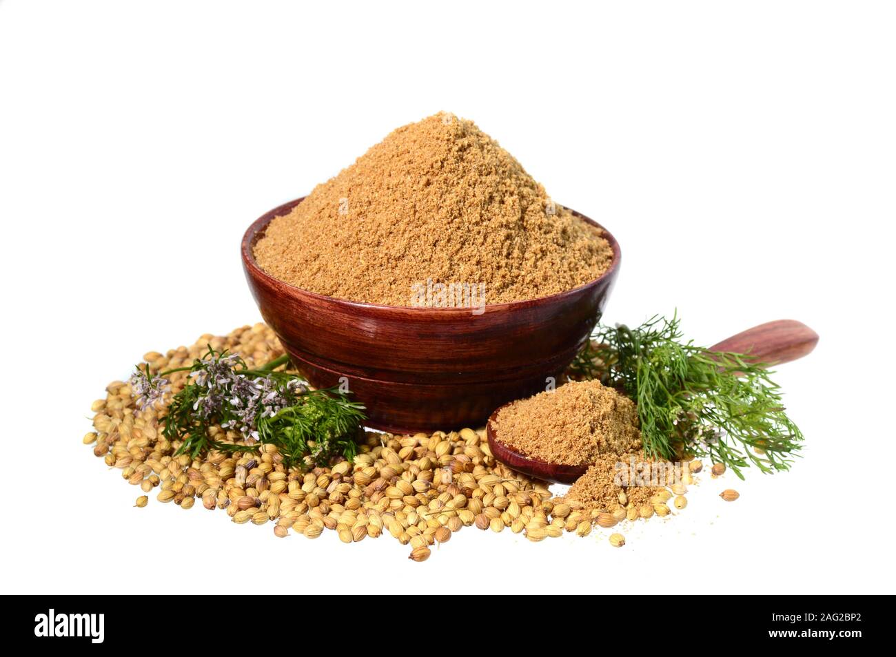 Coriander seeds, Fresh Coriander and Powdered coriander isolated on ...