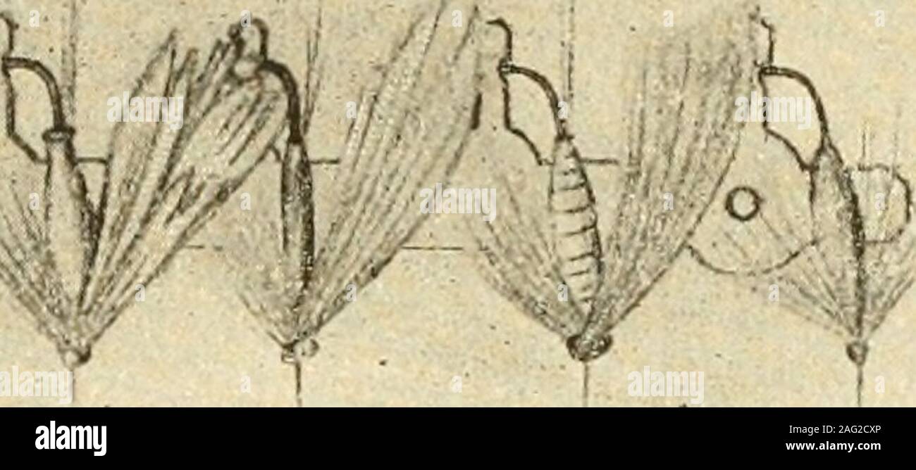 . Rhymes of the stream and forest. ^. And Yet Again An angler newly ...