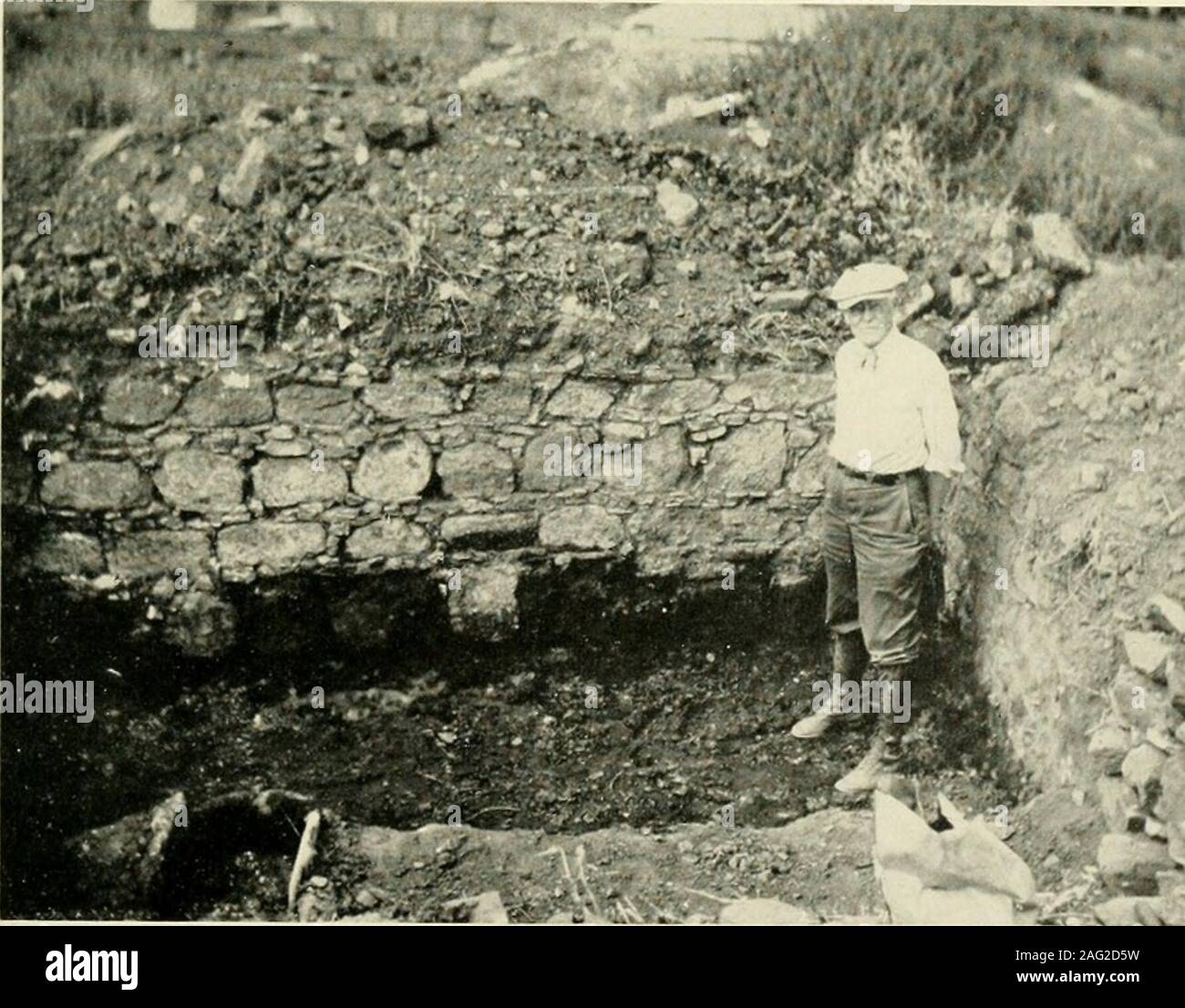 Basal layers hi-res stock photography and images - Alamy