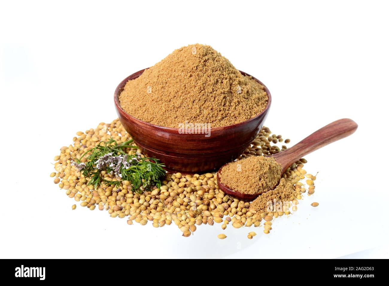 Coriander seeds, Fresh Coriander and Powdered coriander isolated on ...