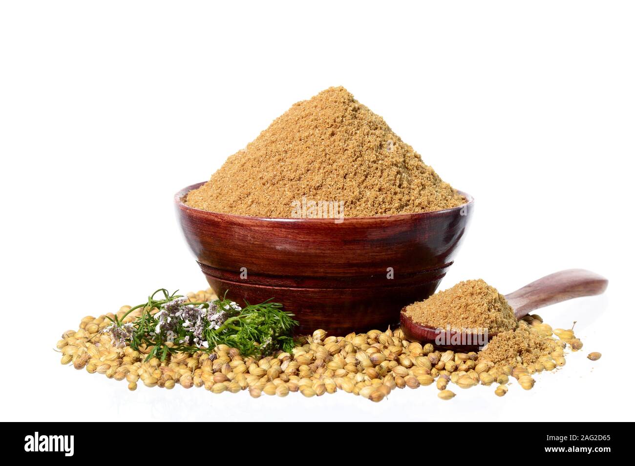 Coriander seeds, Fresh Coriander and Powdered coriander isolated on ...