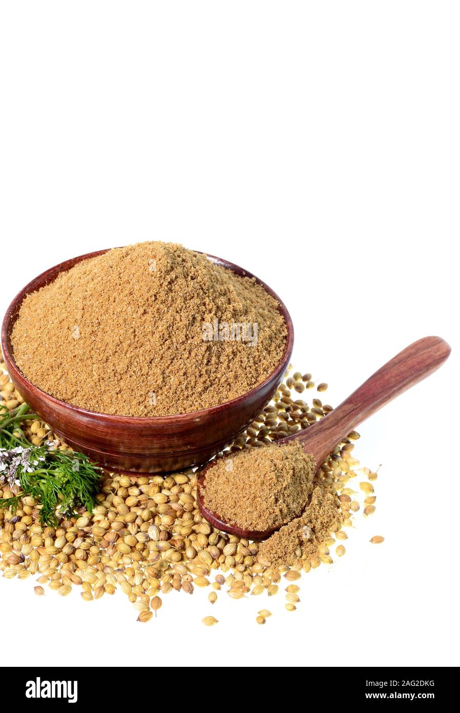 Coriander seeds, Fresh Coriander and Powdered coriander isolated on ...