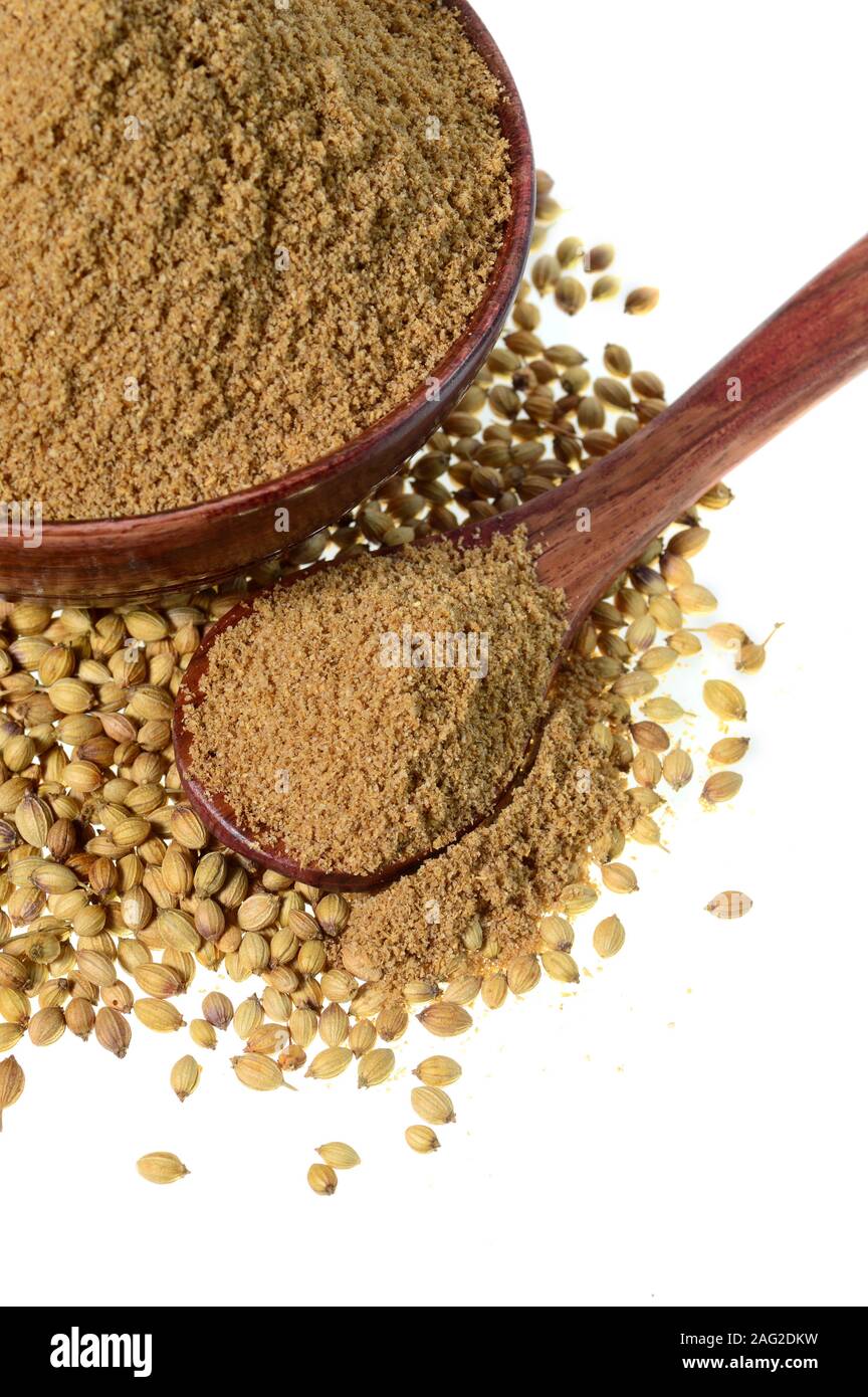 Coriander seeds, Fresh Coriander and Powdered coriander isolated on ...