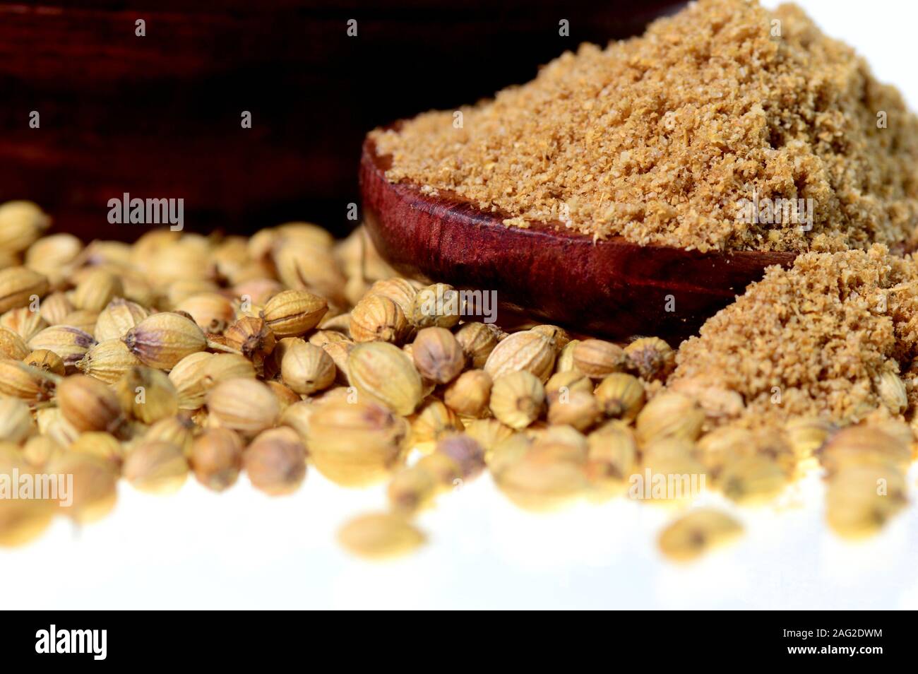 Coriander seeds, Fresh Coriander and Powdered coriander isolated on ...