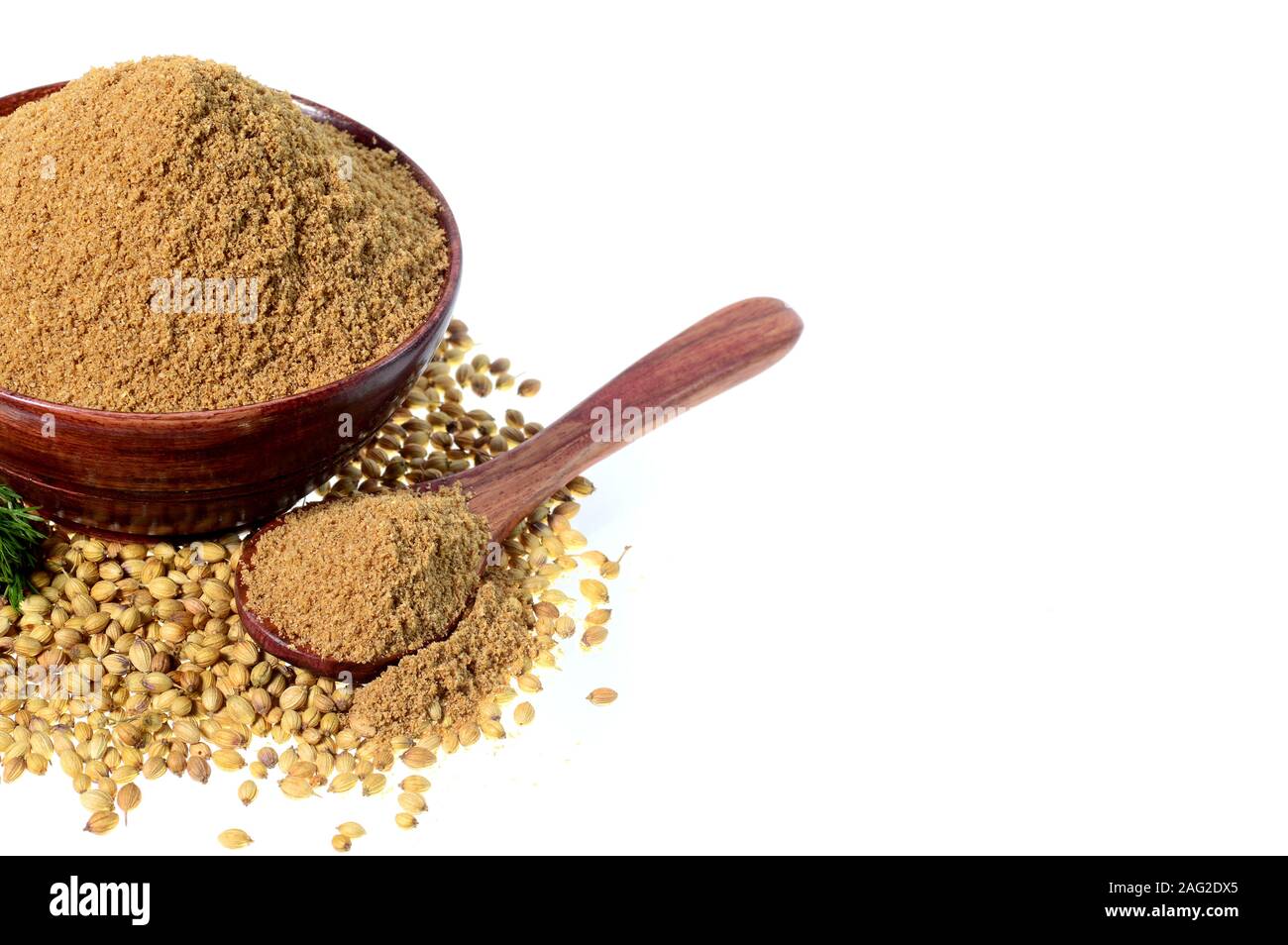 Coriander seeds, Fresh Coriander and Powdered coriander isolated on ...