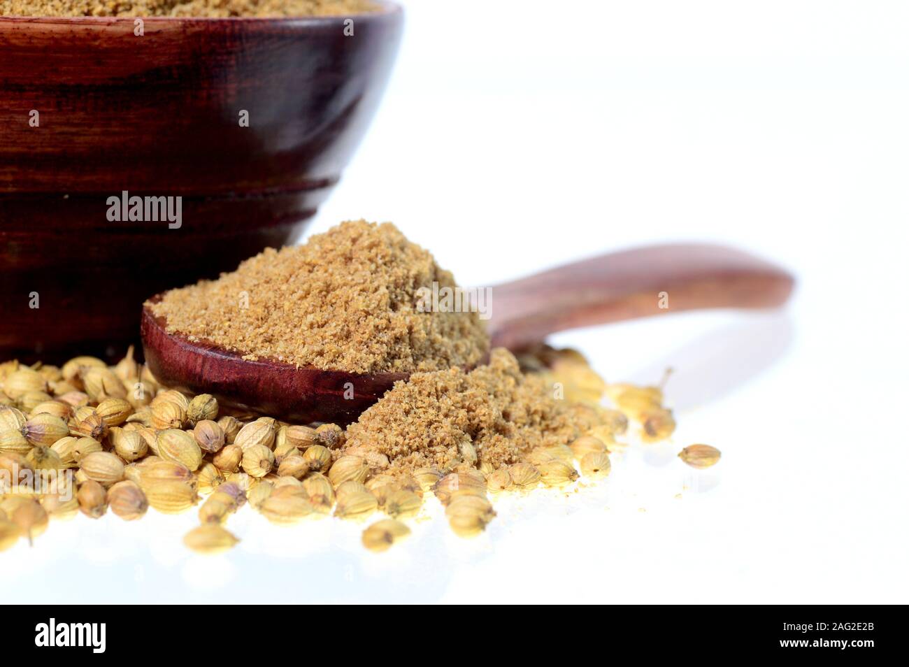 Coriander seeds, Fresh Coriander and Powdered coriander isolated on ...