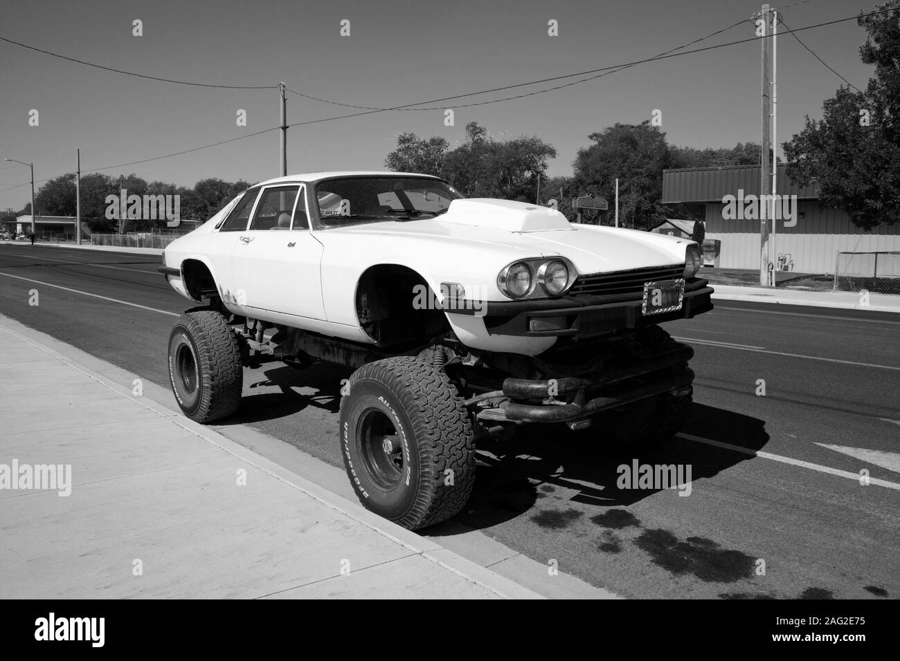 Modified jaguar Black and White Stock Photos & Images - Alamy