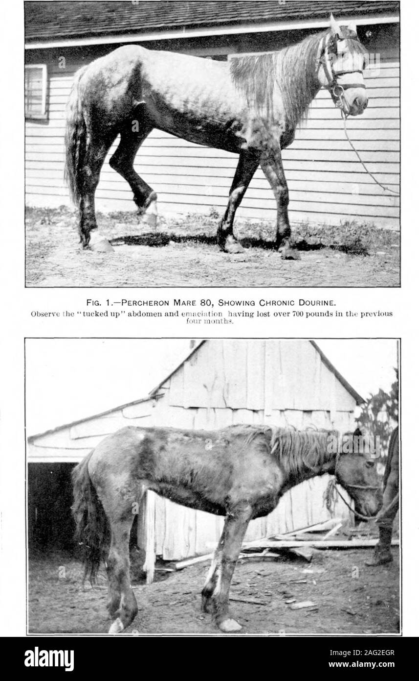 Transmission dept hi-res stock photography and images - Alamy