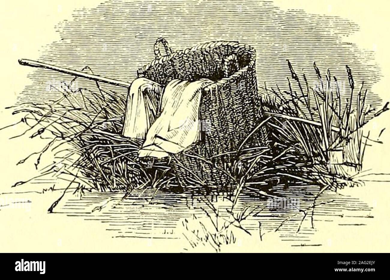 Hanging poems hi-res stock photography and images - Alamy