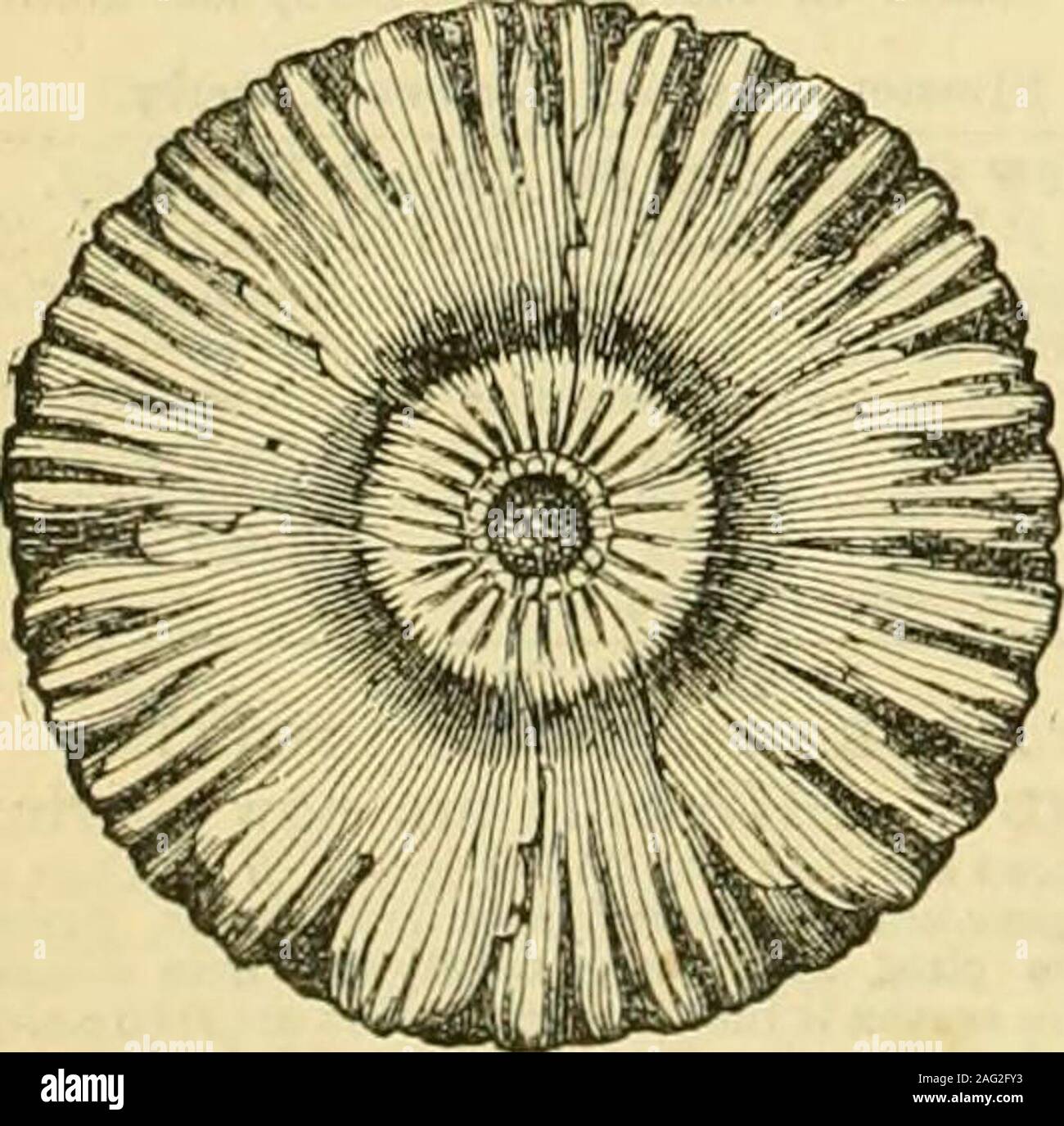 Potato clamp hi-res stock photography and images - Alamy
