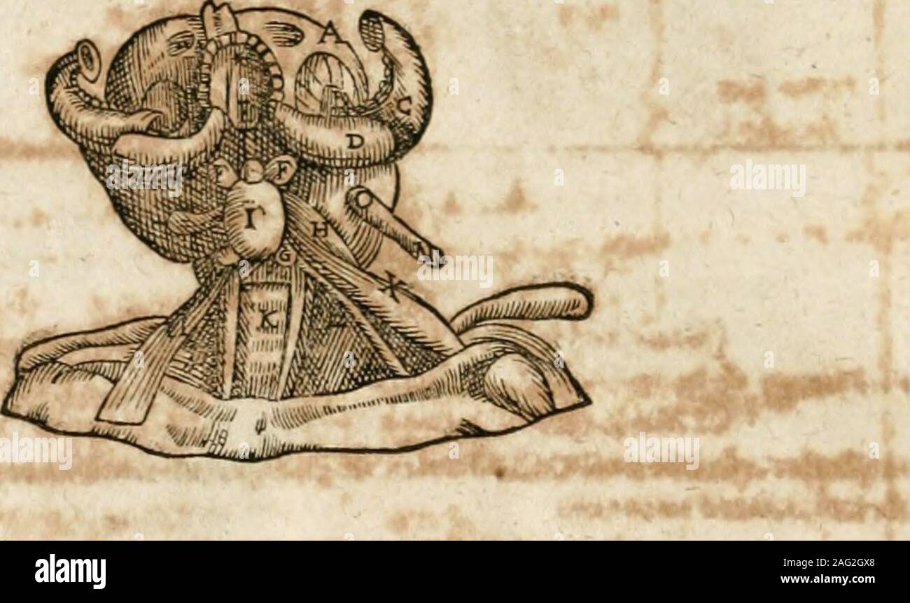 Validi hi-res stock photography and images - Alamy