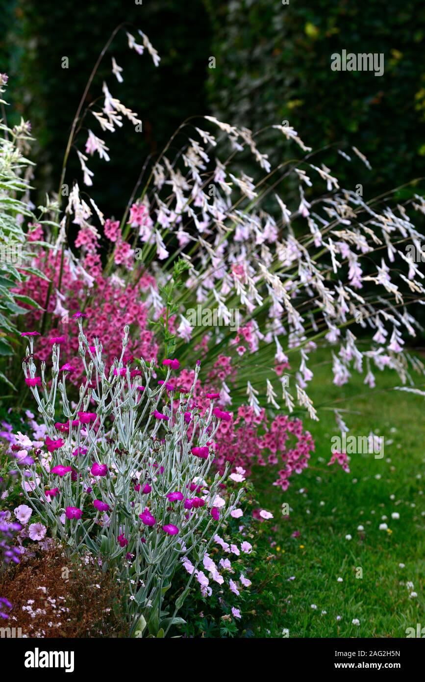 Cottage garden borders hi-res stock photography and images - Alamy