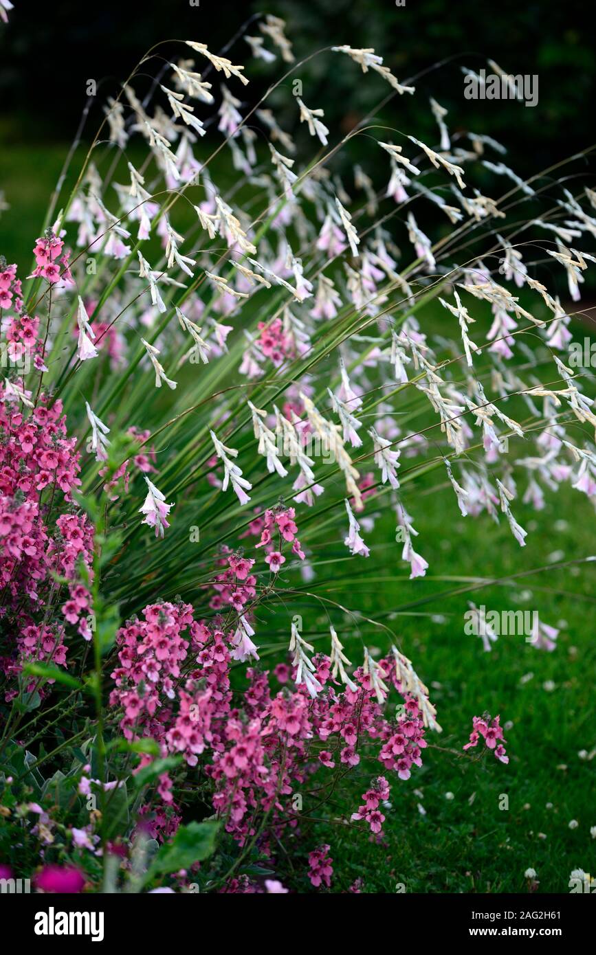 Garden bell hi-res stock photography and images - Alamy