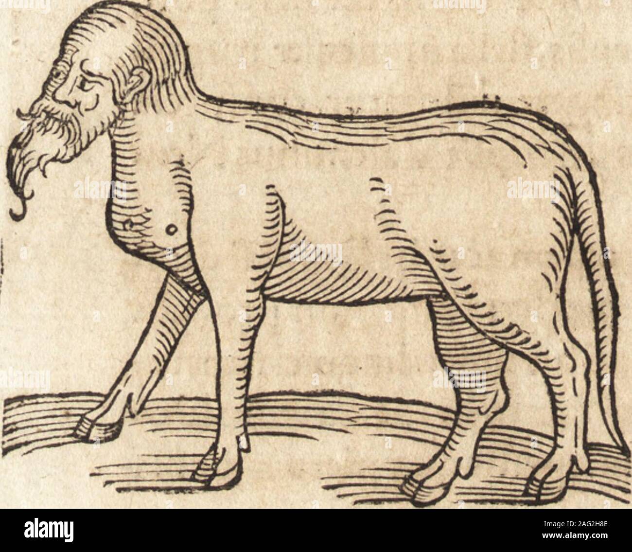 Humanum hi-res stock photography and images - Alamy