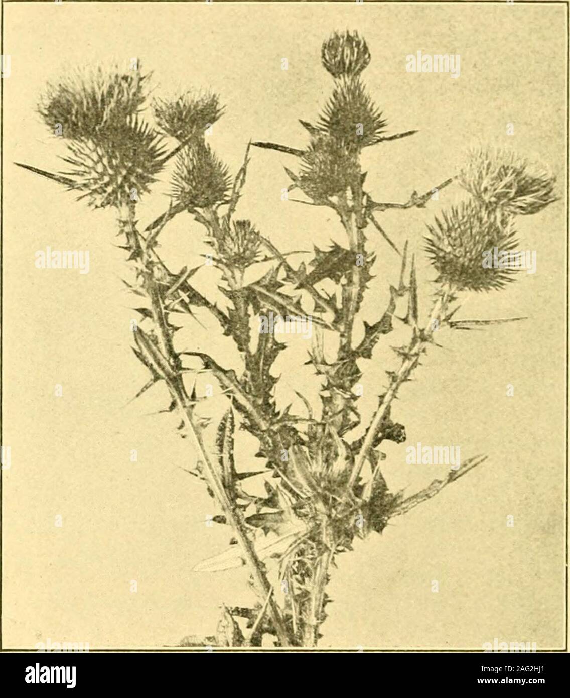 Terminalone hi-res stock photography and images - Alamy