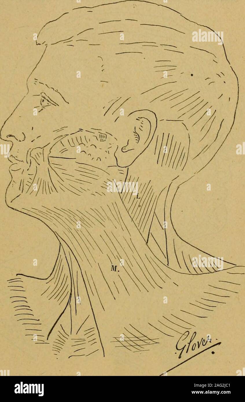 Traits du visage humain hi-res stock photography and images - Alamy