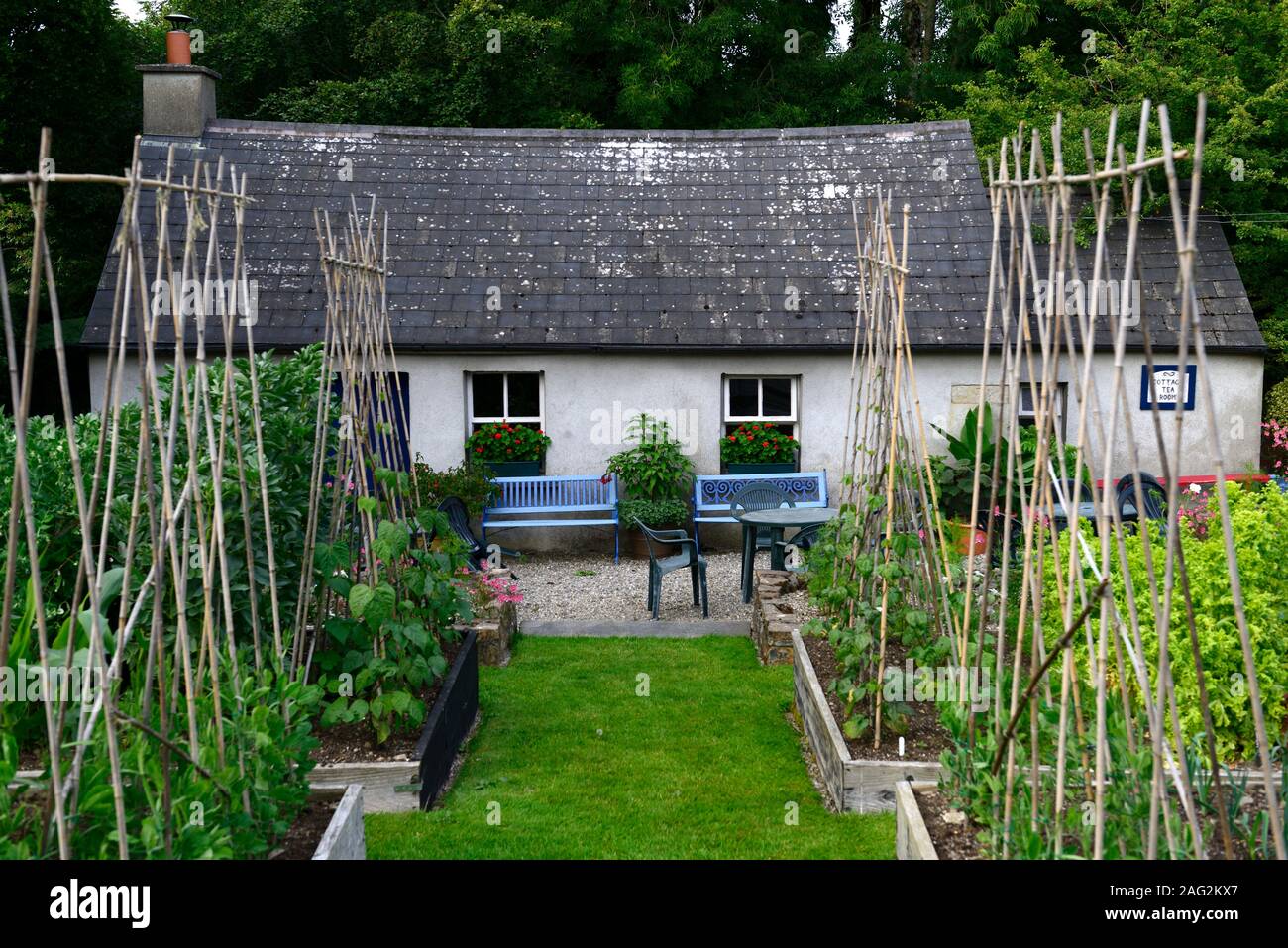 vegetable beds,plots,raised beds,flowers,mix,mixed,display,display ...