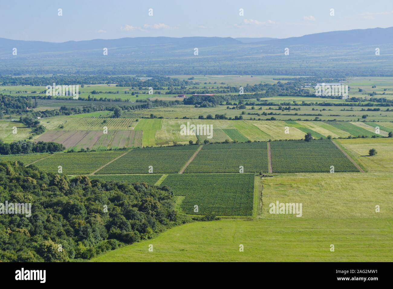 Georgia farm farming agriculture hi-res stock photography and images ...