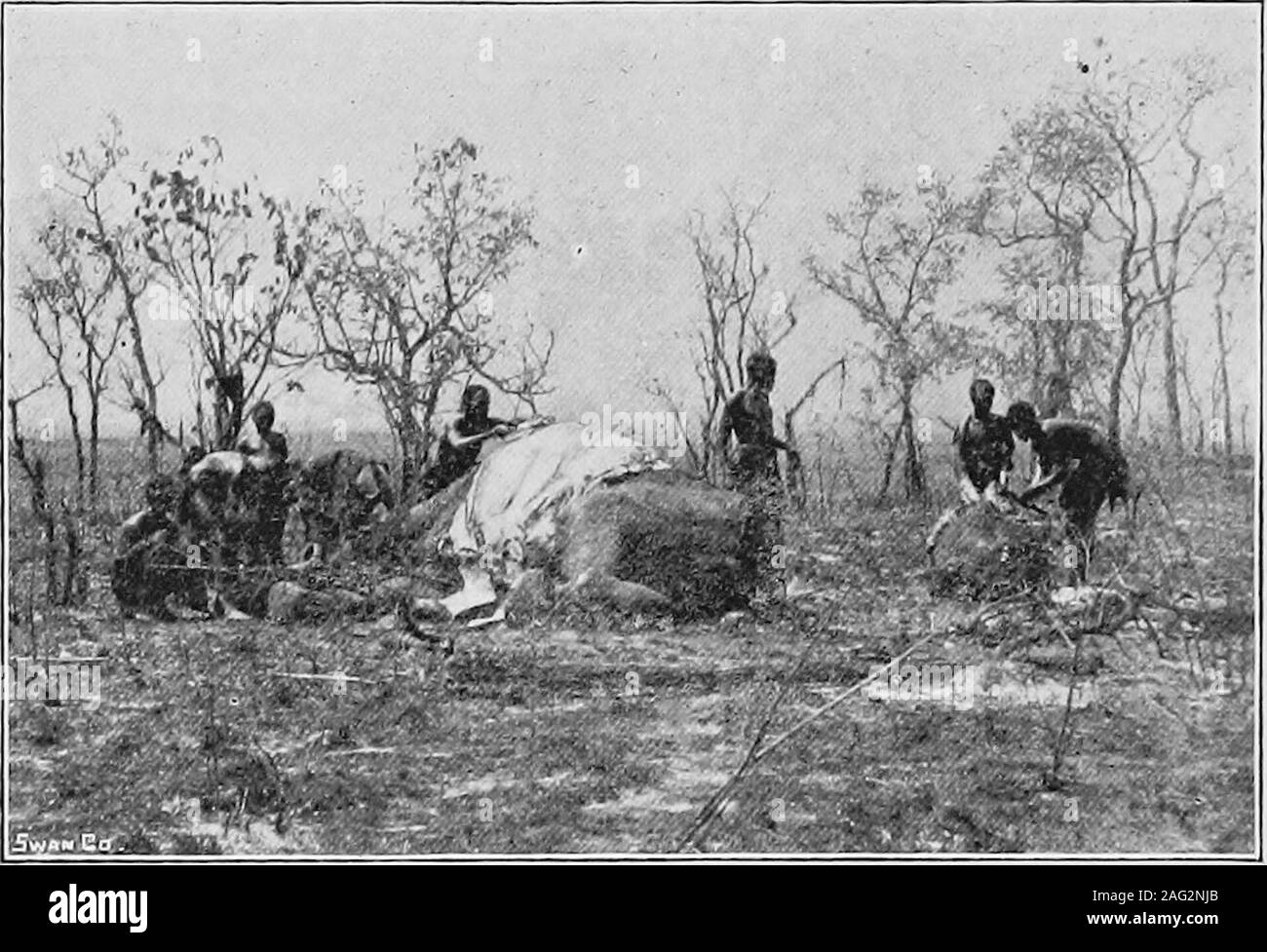 Barotseland hi-res stock photography and images - Alamy