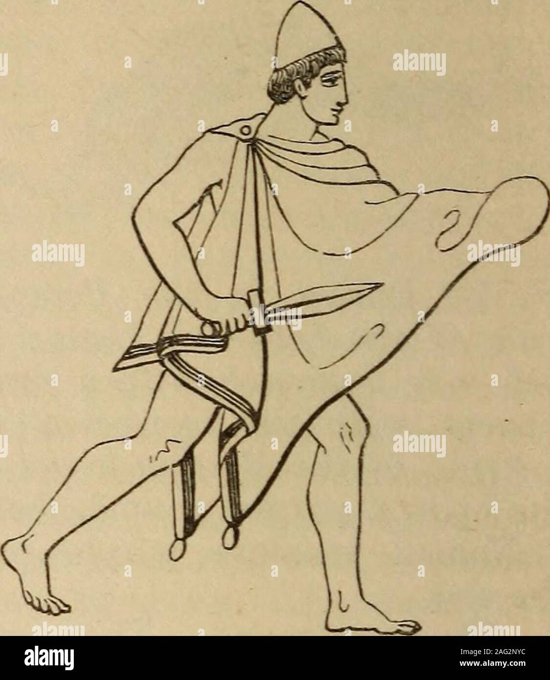 Clipeus hi-res stock photography and images - Alamy