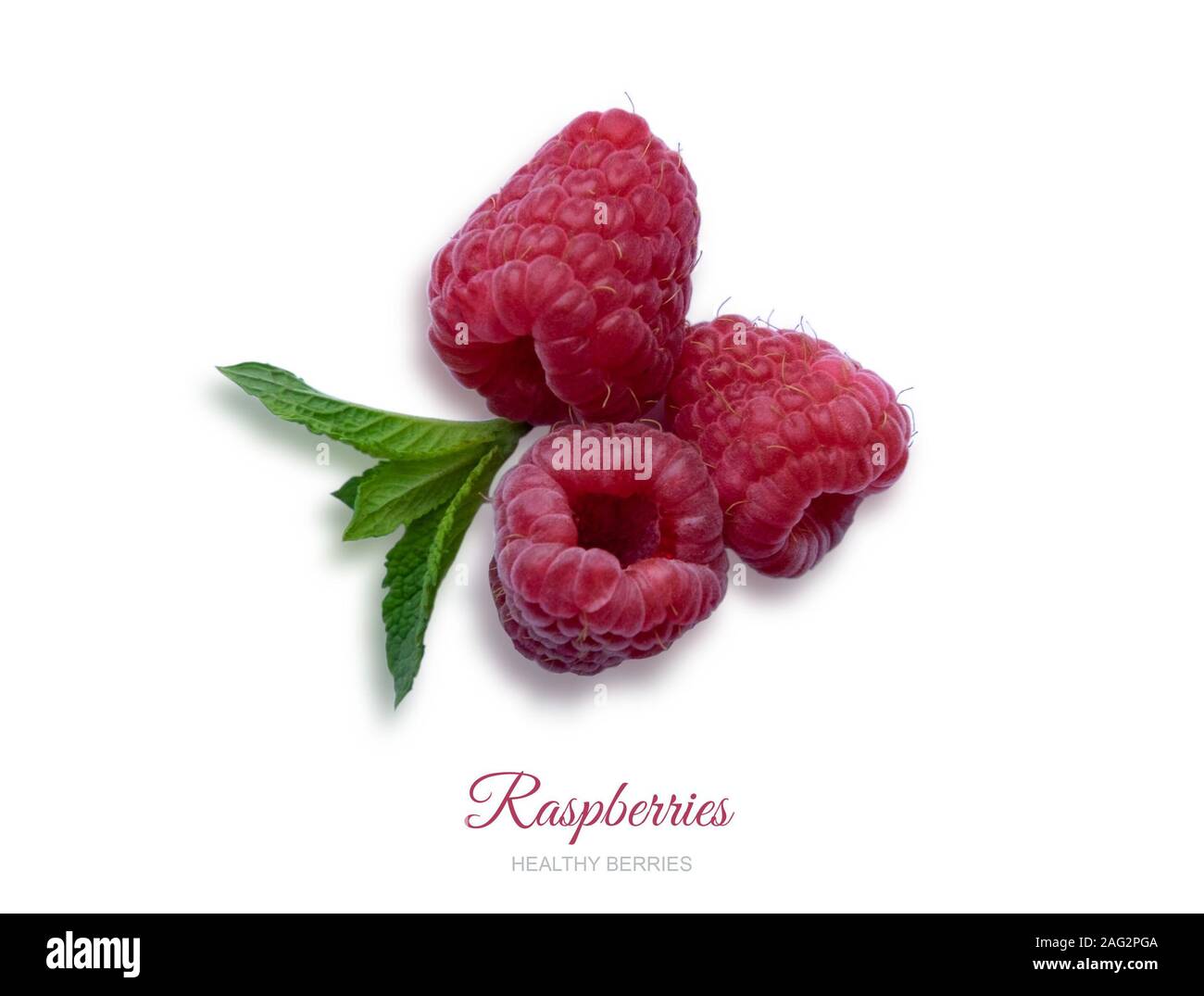 Raspberry berries and mint leaf isolated on white background Stock ...