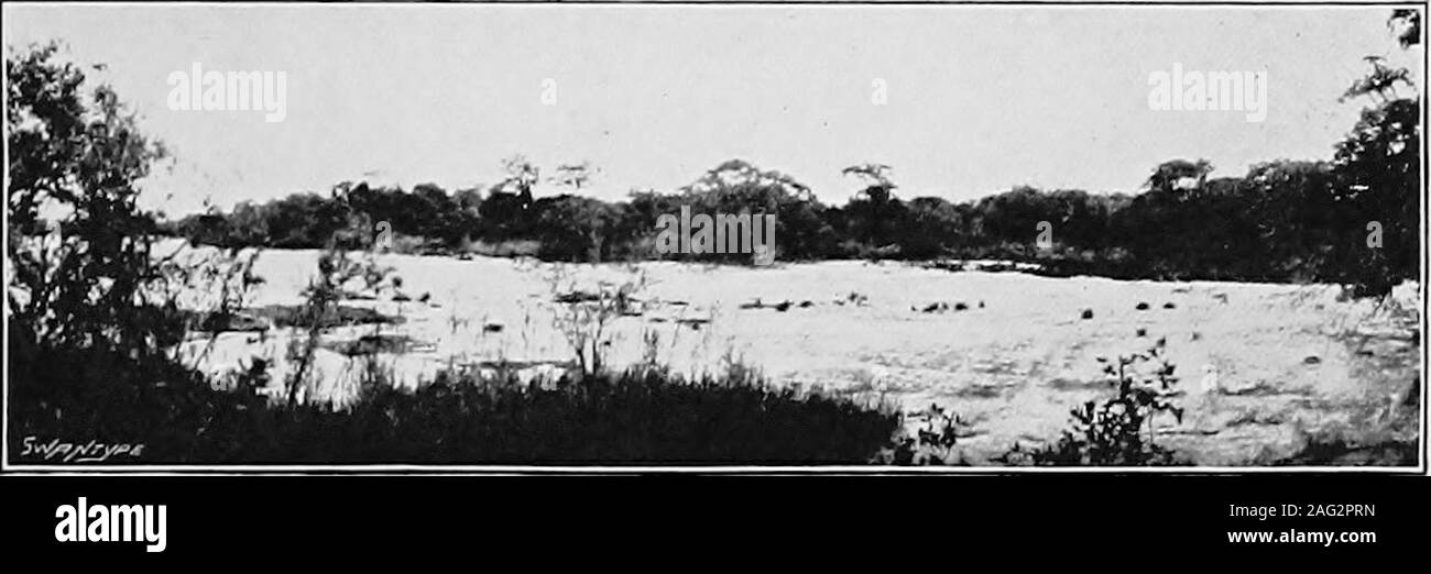 Lewanika king hi-res stock photography and images - Alamy