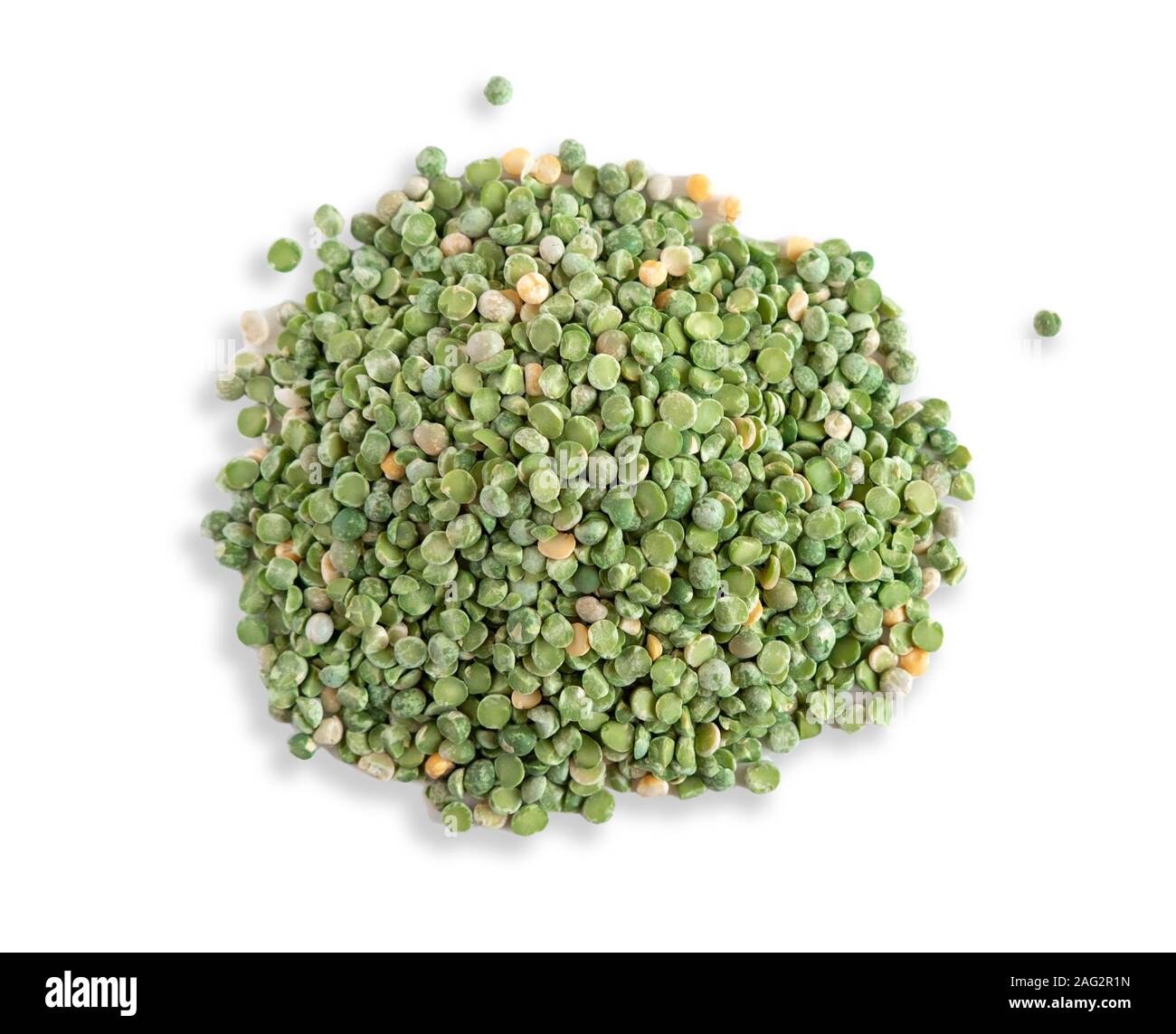 How to grow peas from seed Cut Out Stock Images & Pictures - Alamy