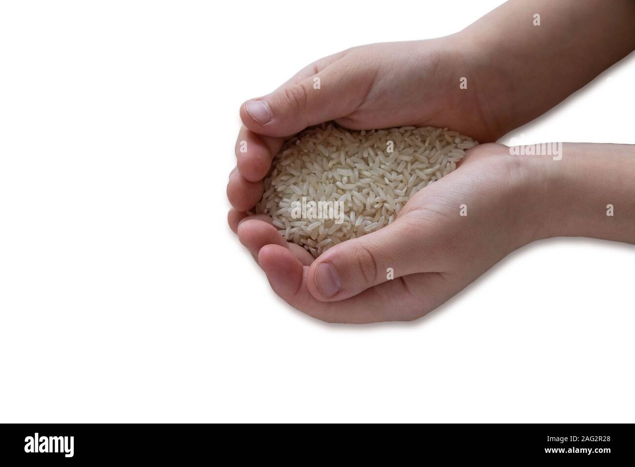 Baby hands that hold uncooked rice isolated on white background. Useful ...