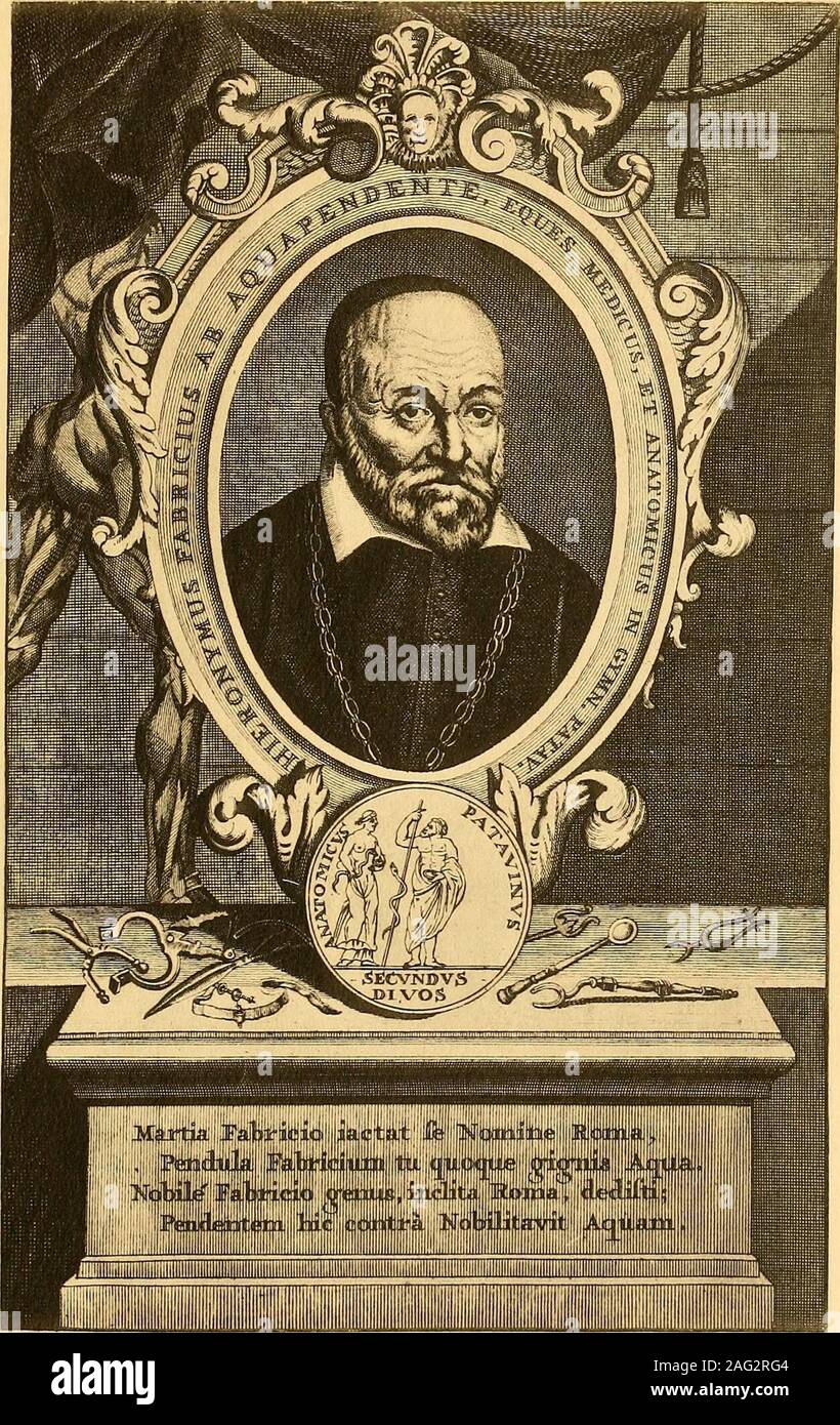 Galen anatomy hi-res stock photography and images - Alamy