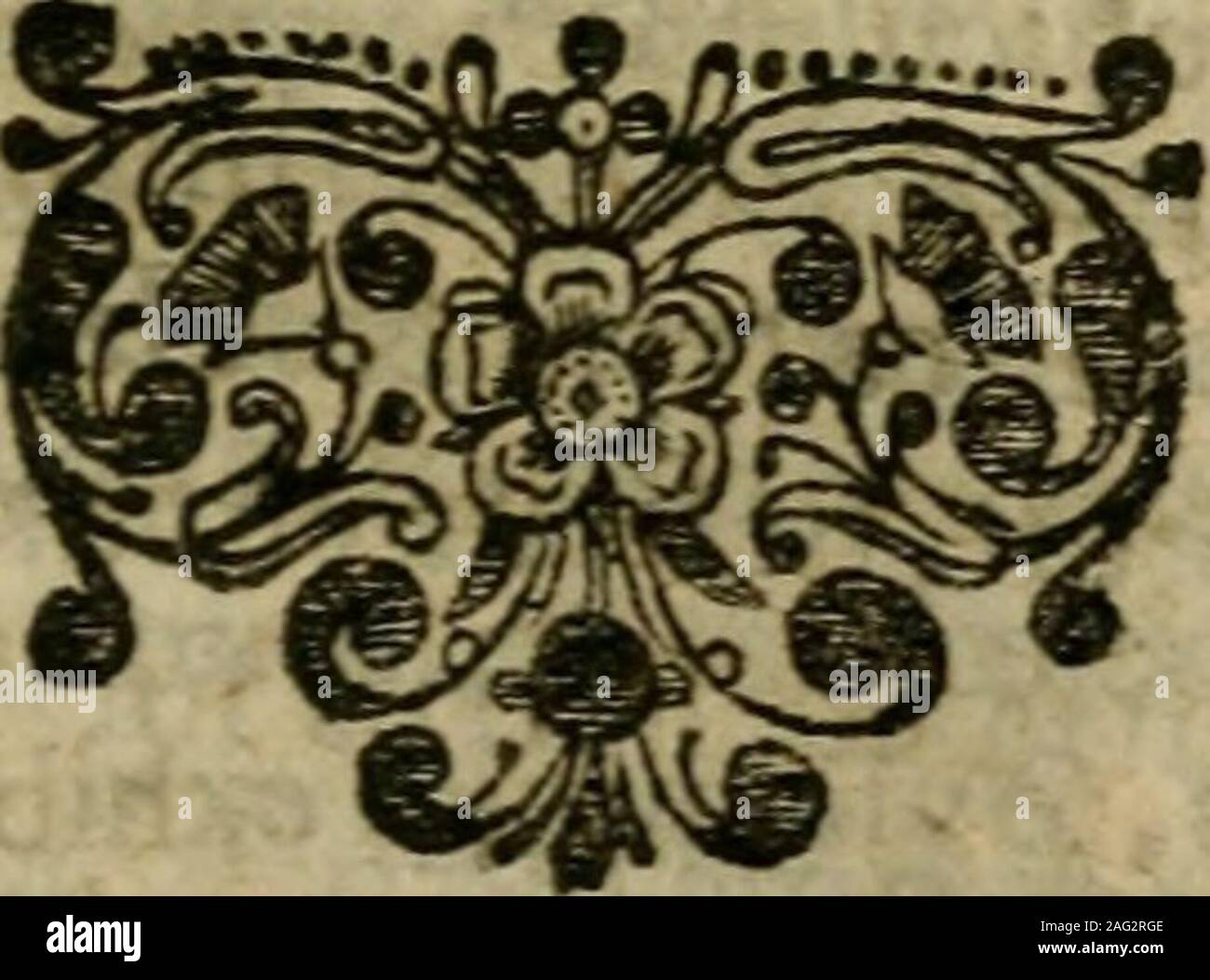 Noffe High Resolution Stock Photography and Images - Alamy