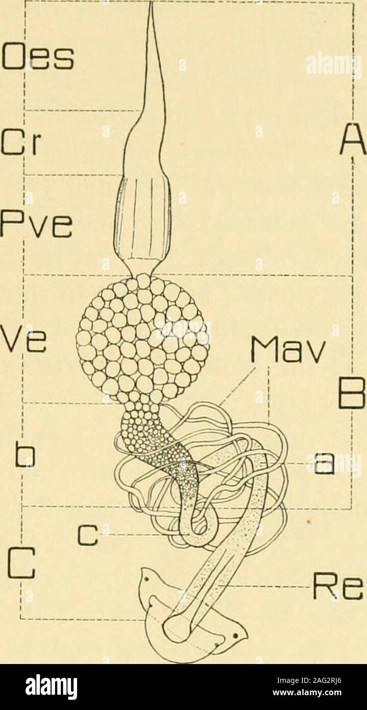 . Smithsonian miscellaneous collections. hly specialized organin which ...