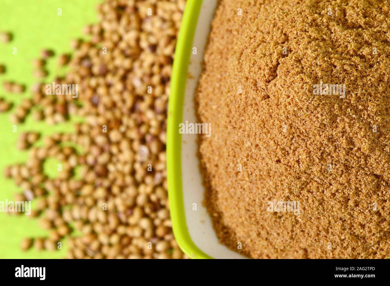 Coriander seeds and Powdered coriander in green container on green ...