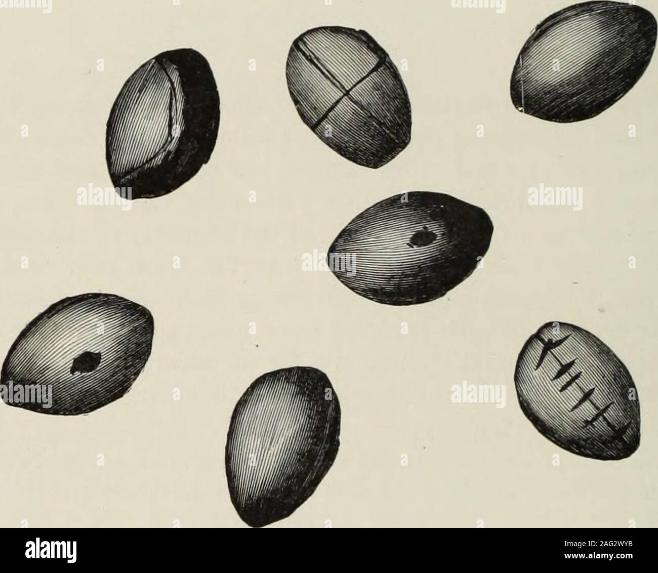 Pile of side angles hi-res stock photography and images - Alamy